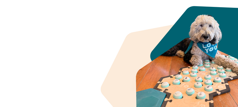 Talking Dog & Cat Buttons & HexTiles System by FluentPet—Online Store