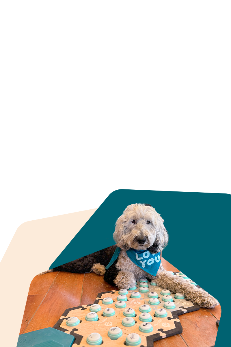 Talking Dog & Cat Buttons & HexTiles System by FluentPet—Online Store