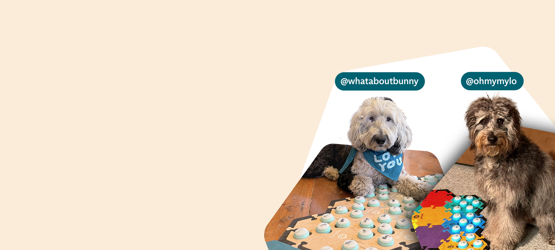 Talking Dog & Cat Buttons & HexTiles System by FluentPet—Online Store