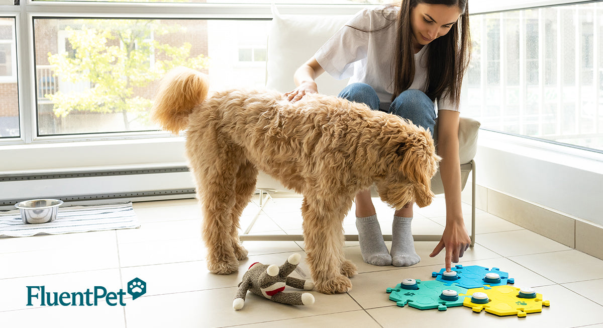 Talking Dog & Cat Buttons & HexTiles System by FluentPet