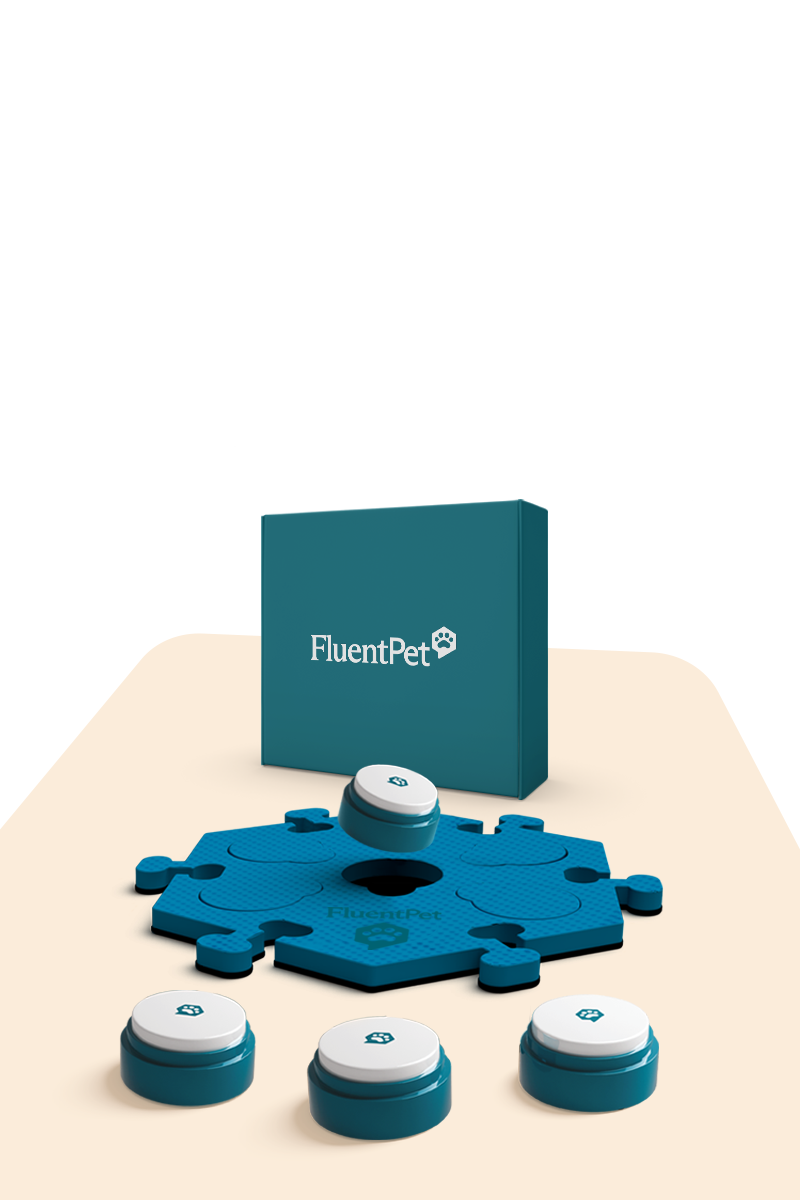 Get a free gift with every purchase over $100