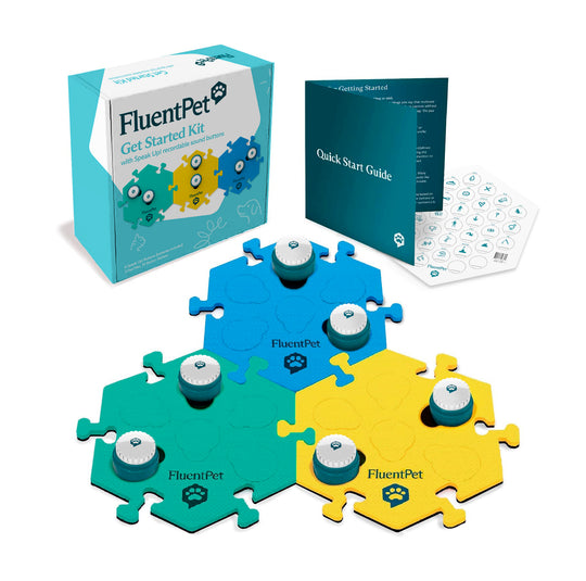 How Do FluentPet Talking Buttons Work? A Step-By-Step Guide