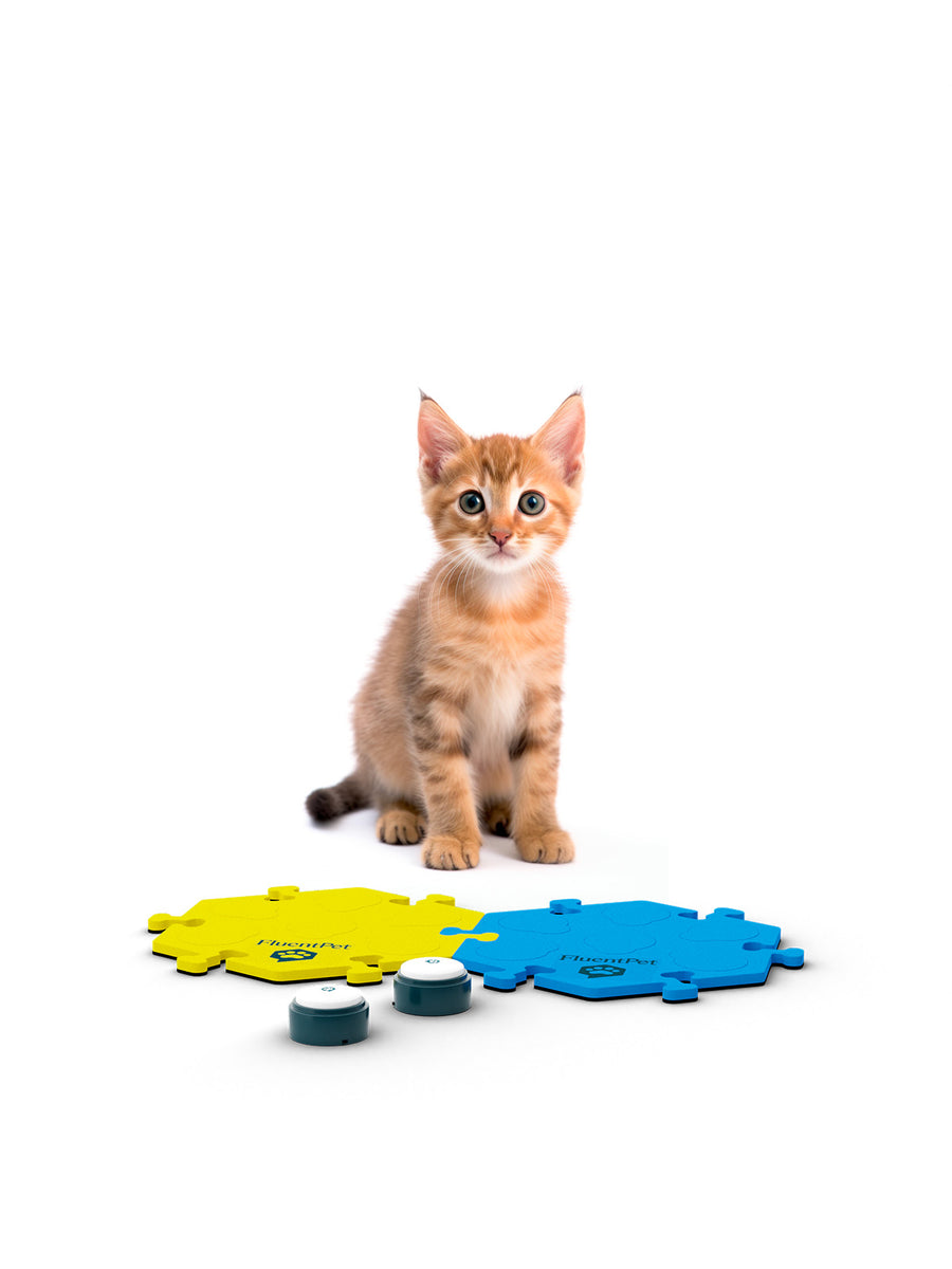 Talking Cat Buttons - FluentPet