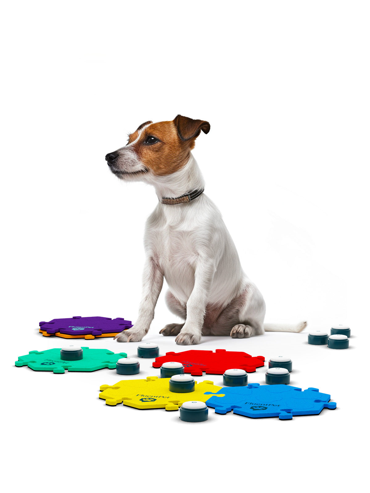 Talking Dog Buttons – FluentPet