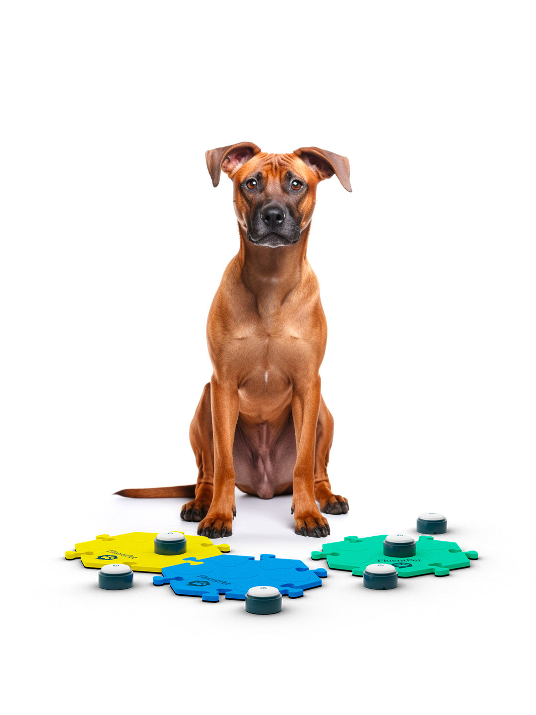 Talking Dog Buttons – FluentPet Talking Dog Buttons – FluentPet