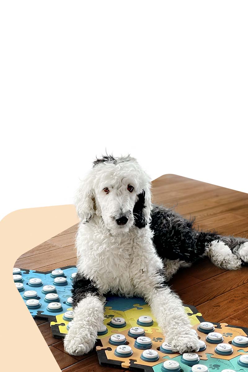 Talking Dog & Cat Buttons & HexTiles System by FluentPet—Online Store