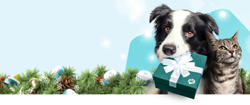 Talking Dog & Cat Buttons by FluentPet - Online Store