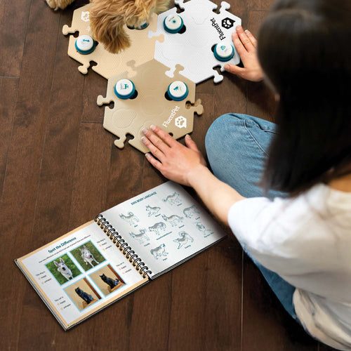 Junior Teacher Workbook by FluentPet