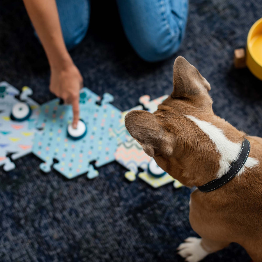 The Complete Guide To Teaching Dogs To Talk with Buttons – FluentPet