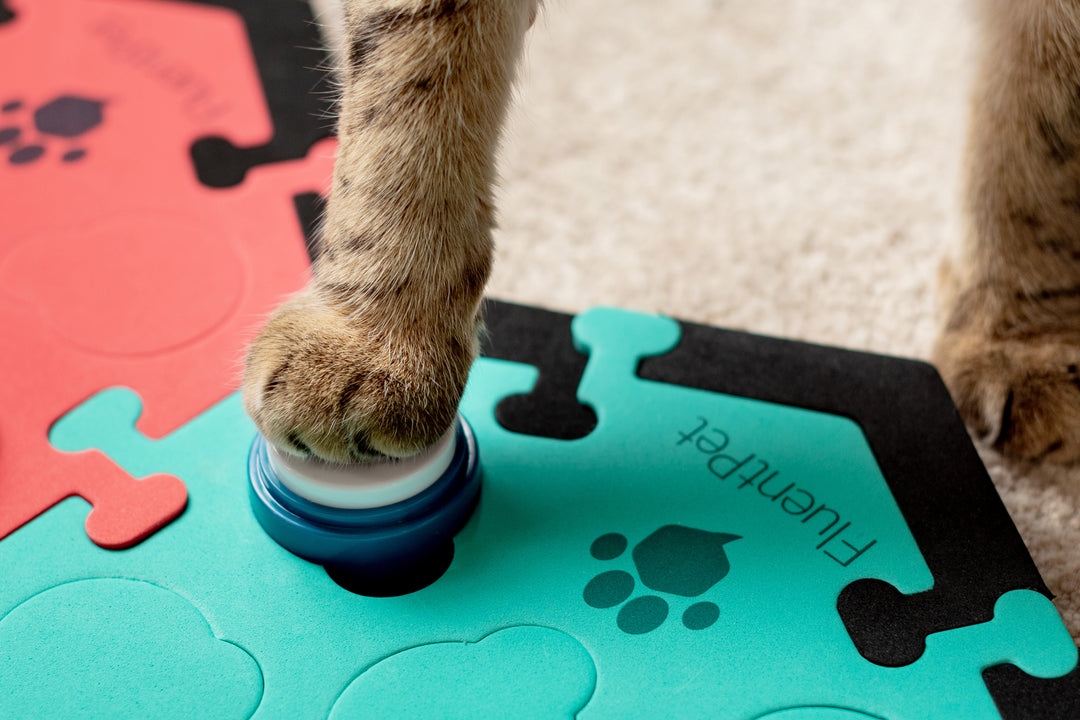 Tester Kit – Try It First – FluentPet - FluentPet