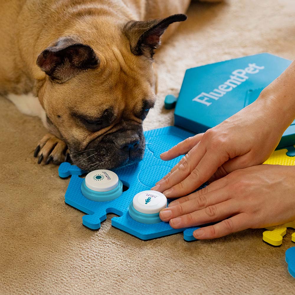 Build Your FluentPet Custom Button Kit in 3 Easy Steps